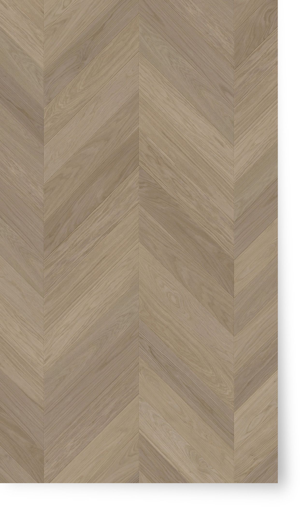 Continental Oak Faded Silvergrey Natural Oil